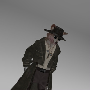 heat tech （VRChat想定） - 猫山さんちの物置 - BOOTH