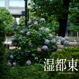 【夏コミ】C102新刊セット - cassiopeia - BOOTH