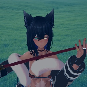 【3D衣装】CorgiWear - WonderPeter - BOOTH