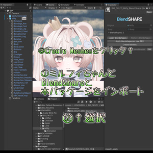 『Avatar Blink Fix』表情改変後の目のBlendShapeを修正するツール - れもねるうるねる - BOOTH