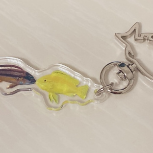 惑星擬人化本「MyOrbits.」【COMITIA154】 - jkwaipa0926 - BOOTH