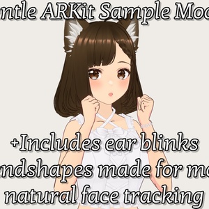 Height Chart For VRChat/VRM/Unity Avatar Scaling (Public Domain) - Kana ...