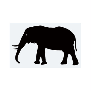 タトゥーシール イルカ - puikko - BOOTH