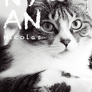 ONEKO 2 - 猫の使用人 - BOOTH