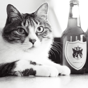 ONEKO 2 - 猫の使用人 - BOOTH