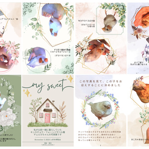 全裸散歩 - KIWA-NIWA - BOOTH