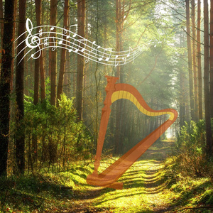 affection - tom2f - BOOTH