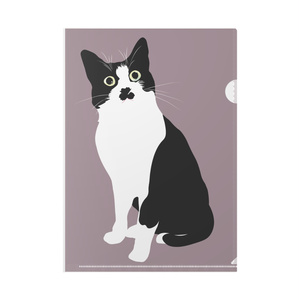 ぴよこ軍団 - moln-モルン- - BOOTH