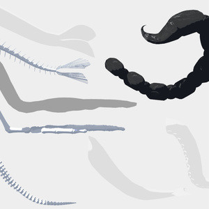 CoC「名探偵は動かない」 SPLL:E110844 - ぬくもり宇宙 - BOOTH