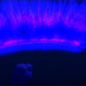 【Unity/VRChat】Alter Saber(Effects+Avatar Animation SDK3.0) - Mayuca - BOOTH