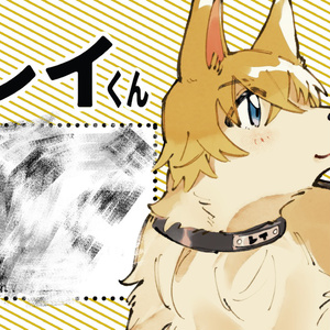 男女別自宅用行動絵カード【トイレ・お風呂・着替え】 - doooMike - BOOTH