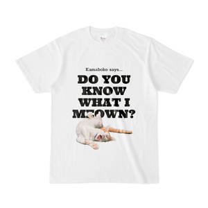 BIG BROTHER IS WATCHING YOU - 麦飯もぐもぐタウン - BOOTH