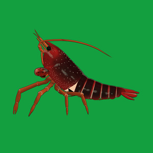 VRChat想定モデル シロオリヒメ【shiro orihime ~白澱姫~ 】 - なまもの錬金工房 - BOOTH