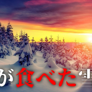 Dive in a Dive - pasty-trpg - BOOTH