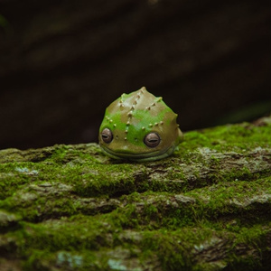 Nosferatu - forest cat works - BOOTH