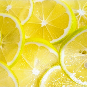 コジャトマ - rinrin - BOOTH