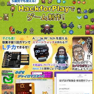 Hello Dojo?（電子版 物理本無料特典） - TGABOOK - BOOTH