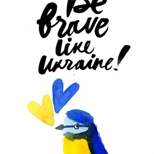 GRIFFON SOCKSBOX ウクライナの動物BOX ウクライナ支援 - ukraine-takagaki - BOOTH