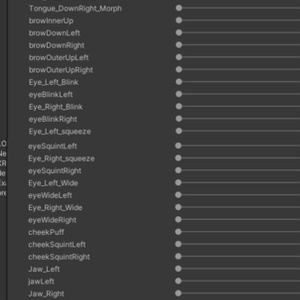 【Type. LO】専用 ハイヒールシェイプキー - 猫ヶ洞 - BOOTH