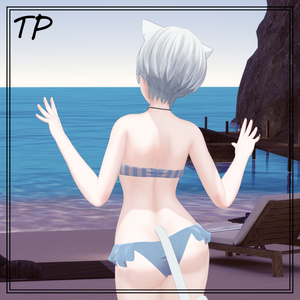 【水瀬用VRChat向け】ハンドサイン・ジェスチャー - ThirdPenguin - BOOTH