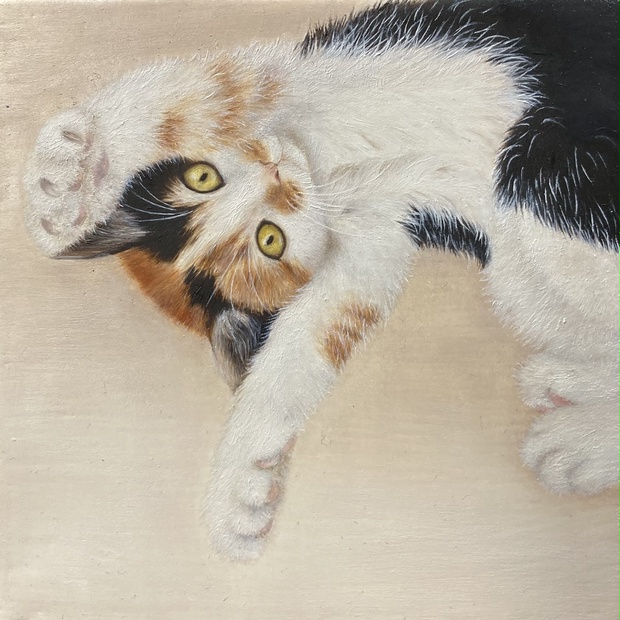 cat 008 - phantom of blue - BOOTH