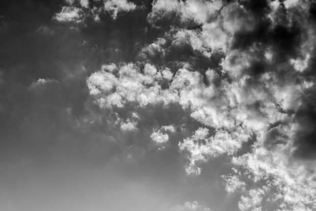 【データ版】Monochrome - otaculture - BOOTH