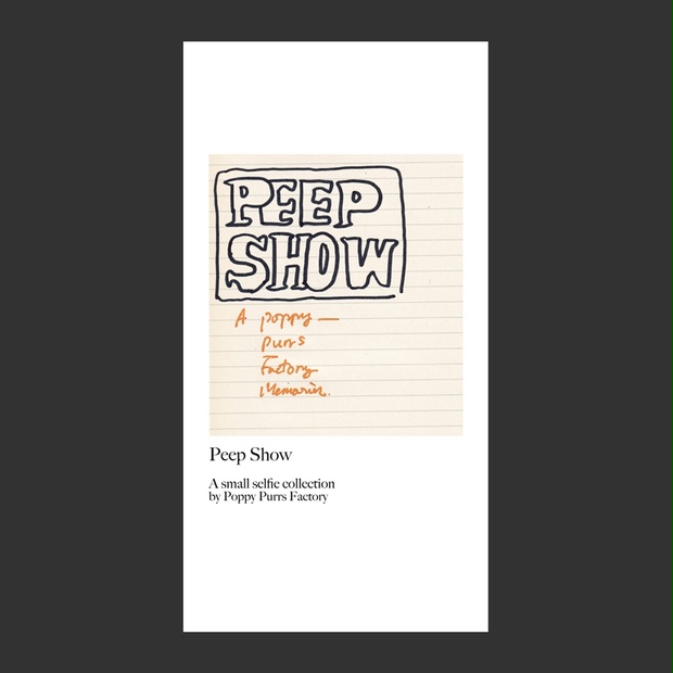 2024 Selfie Collection【自撮り写真集 Peep Show】 - Poppy Purrs Factory Online Shop - BOOTH