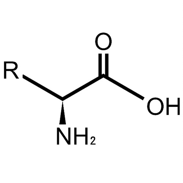 アミノ酸1 構造式 - kyouzaiya - BOOTH