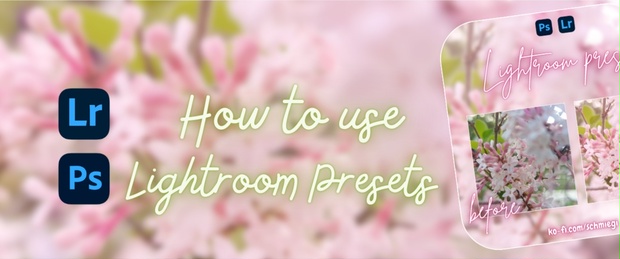 Tutorial - How to use Lightroom Presets - Forestcat Illustration - BOOTH