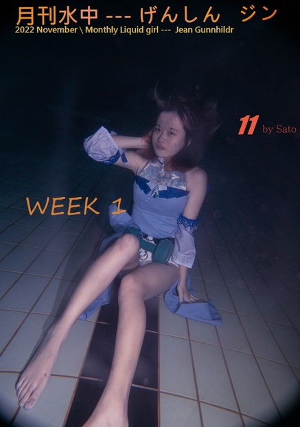11月刊水中 --- げんしん ジン(week 1) - sato-underwater2 - BOOTH