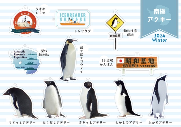 南極アクキー ver.C105 - コスモとコメット - BOOTH