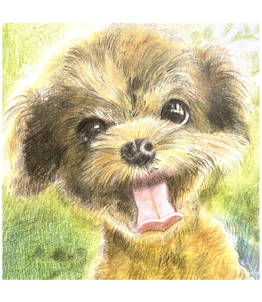 ペット似顔絵 (Pet Portraits) - ダ・ルイ（Da Lui) - BOOTH