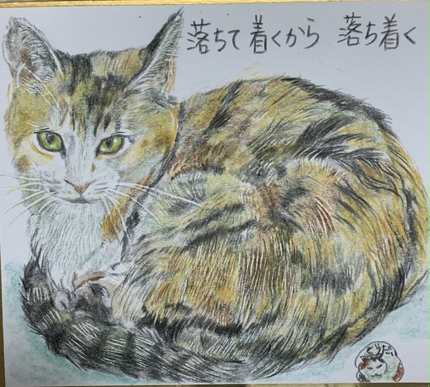 おちつくねこのえ 768 - どうだいねこのえ屋さん - BOOTH