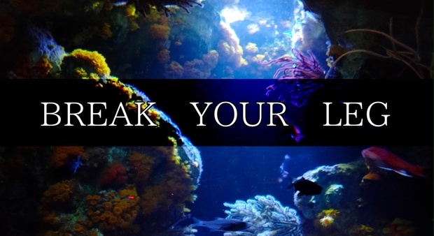 BREAK YOUR LEG(inst) - 花風千歳 - BOOTH