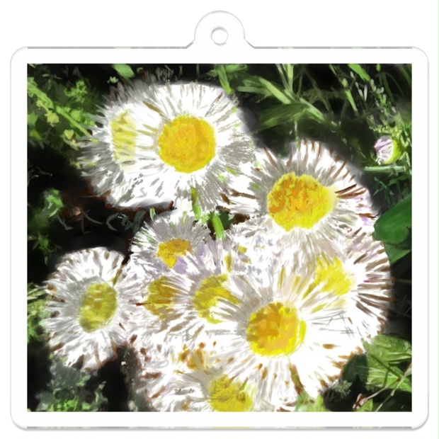 ハルジオンのアクリルキーホルダー - hiroboab - BOOTH