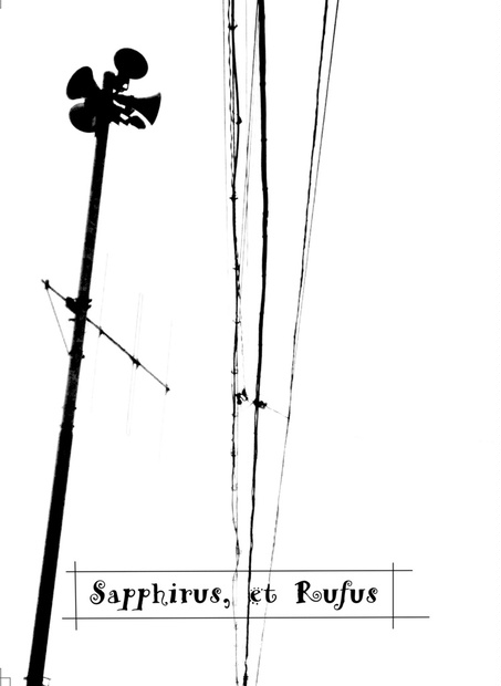 Sapphirus, et Rufus - Hydrangea! - BOOTH