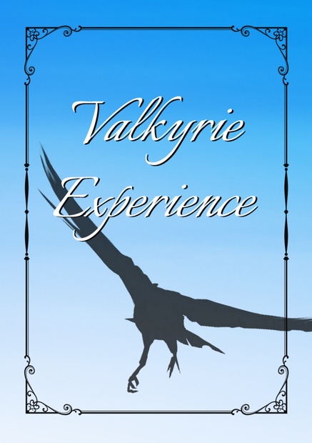 Valkyrie Experience - S.W.O.R.D. in Summer - BOOTH
