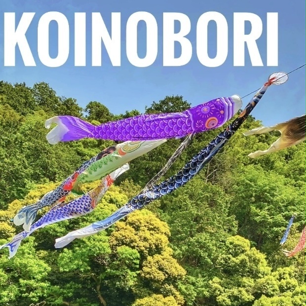 KOINOBORI - physio K - BOOTH