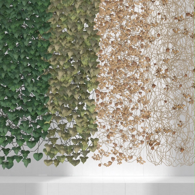 Ivy wall x4 - Toraba Store - BOOTH