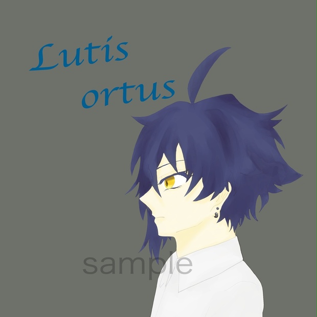 Lutis ortus - あざらし - BOOTH