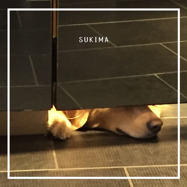 sukima - mori - BOOTH