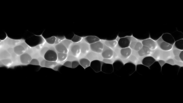 Bubble Line Wrap Particle.ffx - TAROU_ART MARKET - BOOTH