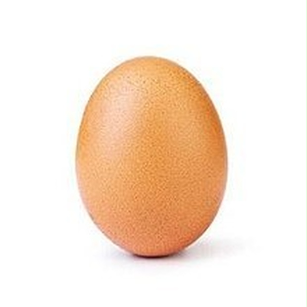 Egg Vtuber Model Free (ARTKIT/Webcam) - fofamit - BOOTH