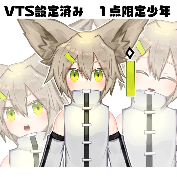 【完売】VTS設定済み男の子【限定一点】 - tensinoyakiniku - BOOTH