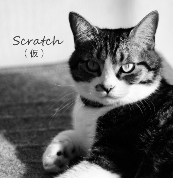 Scratch(仮) - Hawk Circle - BOOTH