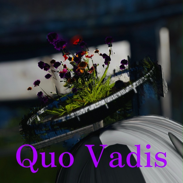 【VRChat想定】Quo Vadis - Stellar - BOOTH