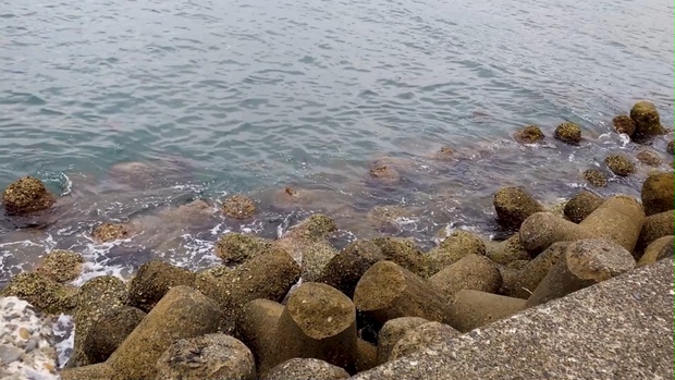 テトラポットに打ち寄せる波音 – 南房総の海岸にて - HIRO FILMS - BOOTH