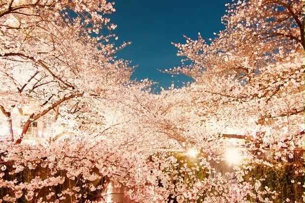 あんしんBOOTHパック希望の方はこちらを一緒にご選択ください - ランゲルハンス島 - BOOTH