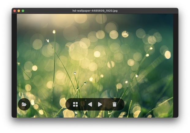 LeafView - sprout2000 - BOOTH