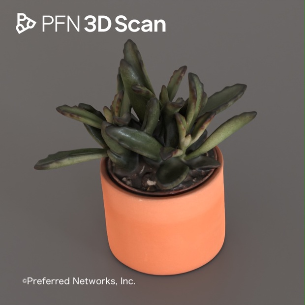 【PFN 3D Scan】多肉植物4 - PFN 3D Scan 公式 - BOOTH
